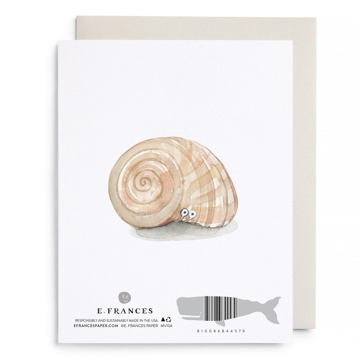 New Shell Greeting Card – E. Frances Paper