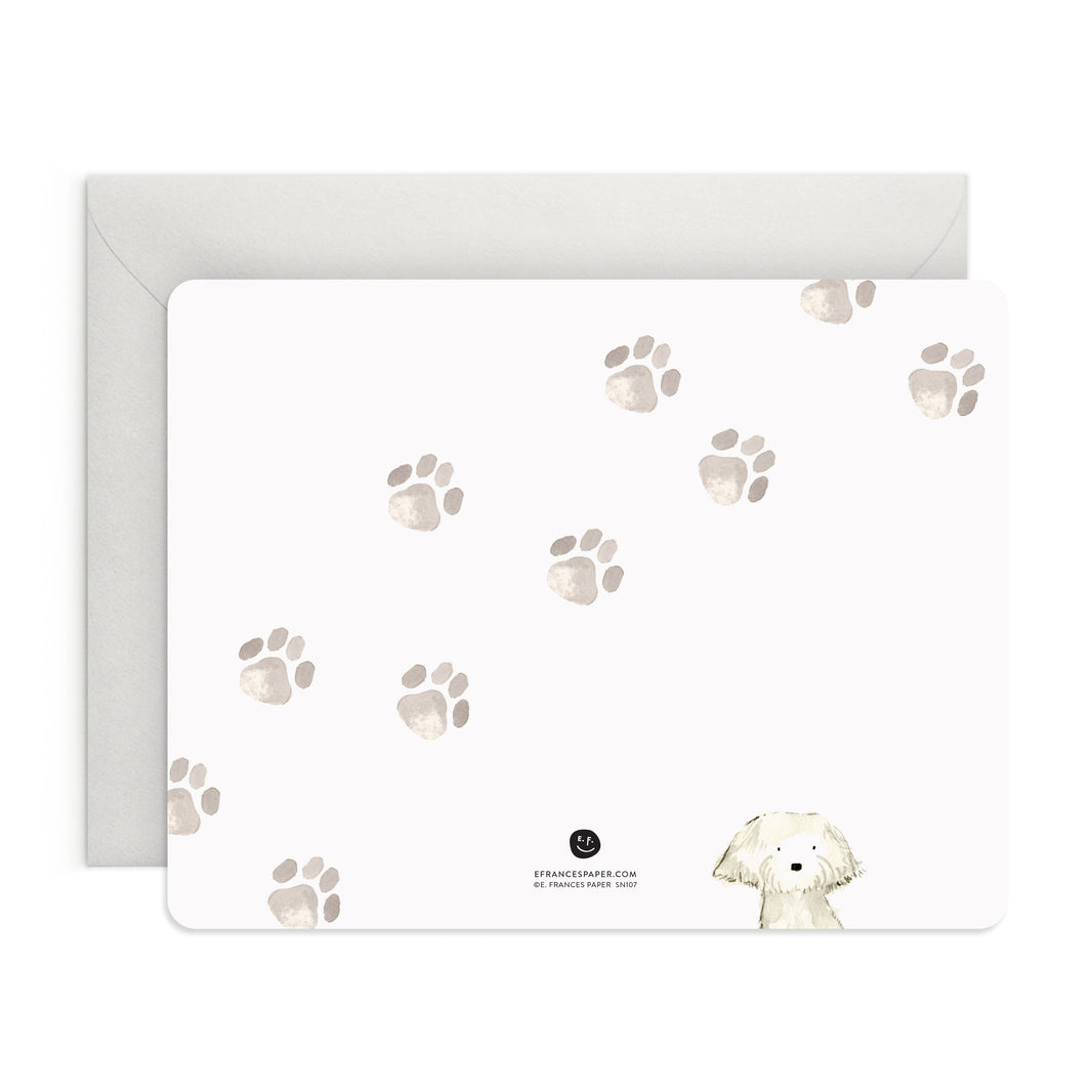 Boxed Sets – E. Frances Paper