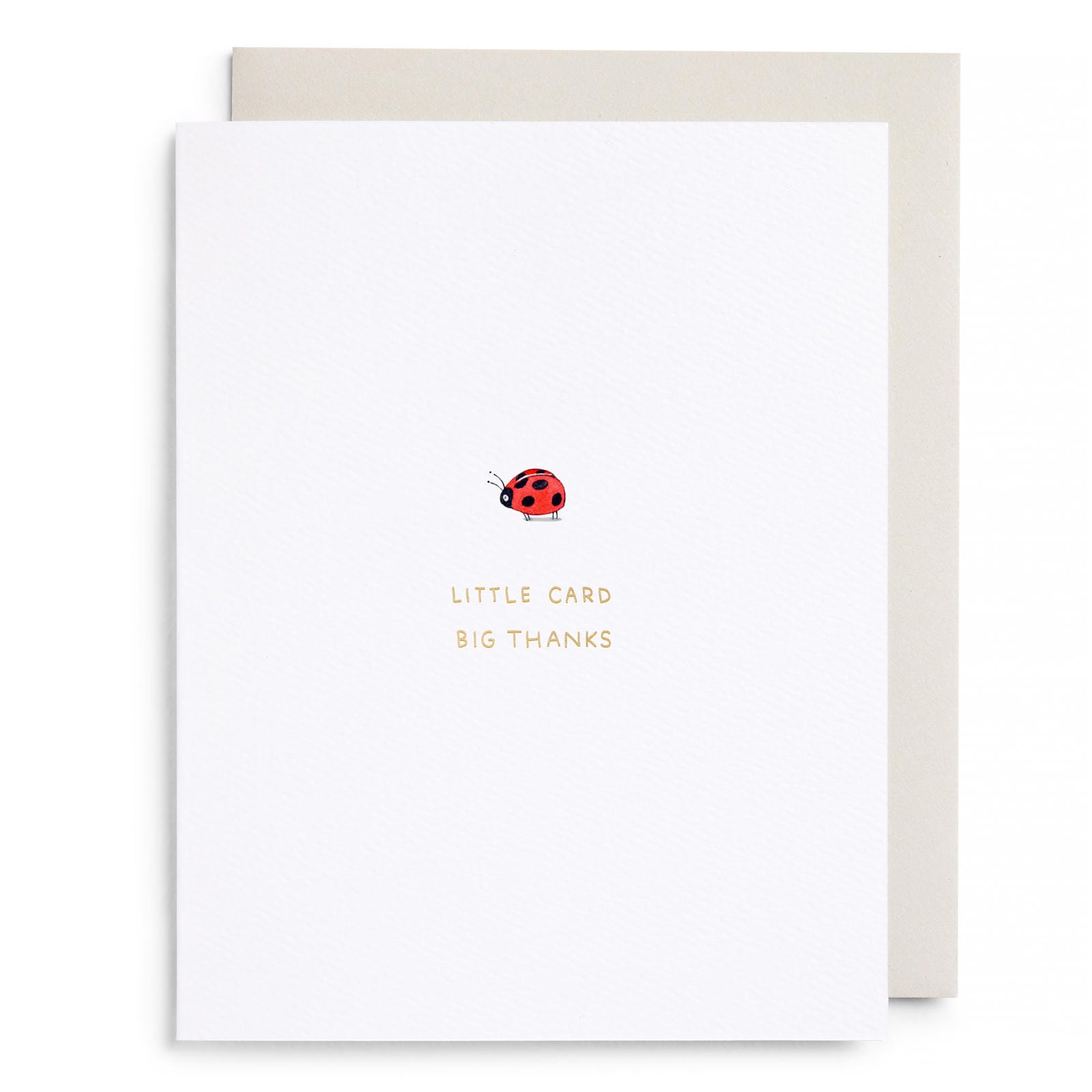 Little Card Big Thanks Greeting Card – E. Frances Paper